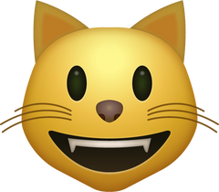 cat smiley face